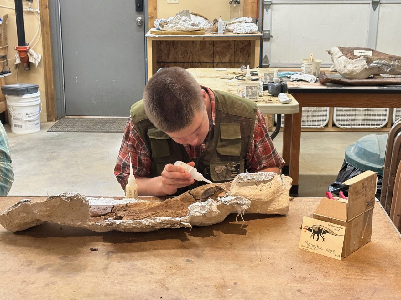 Exhibits | Glendive Dinosaur & Fossil Museum